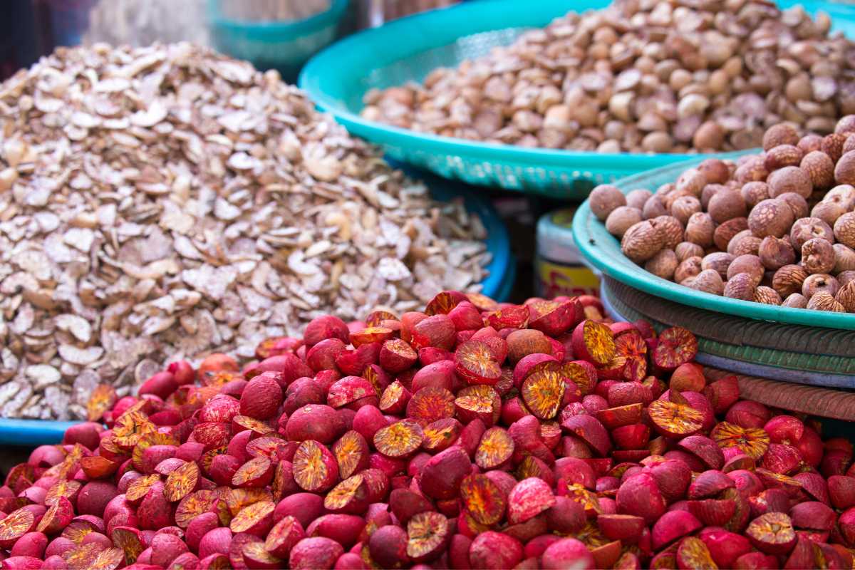 Betel Nut from Indonesia: Top Suppliers & Manufacturers - Indonesian ...