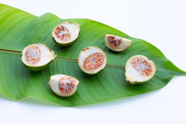What Does Betel Nut Contains? Chemical Composition, Uses, Side Effects ...